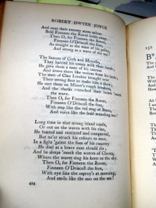 Fineen (Finín) O’Driscoll, The Rover, Robert Dwyer Joyce (1830-1883) | West Cork History