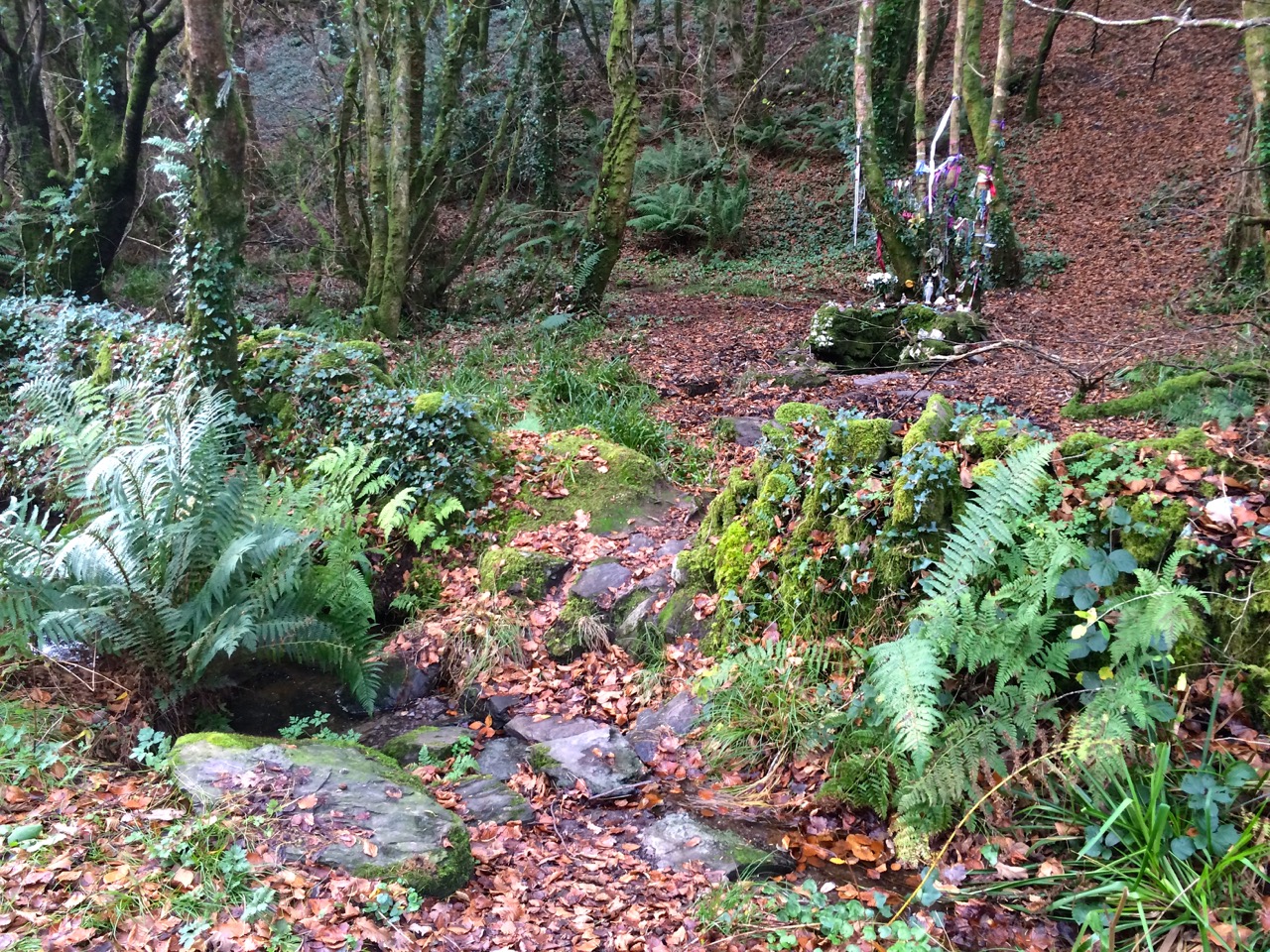 Tobarín Súl is set beside a boreen | West Cork History