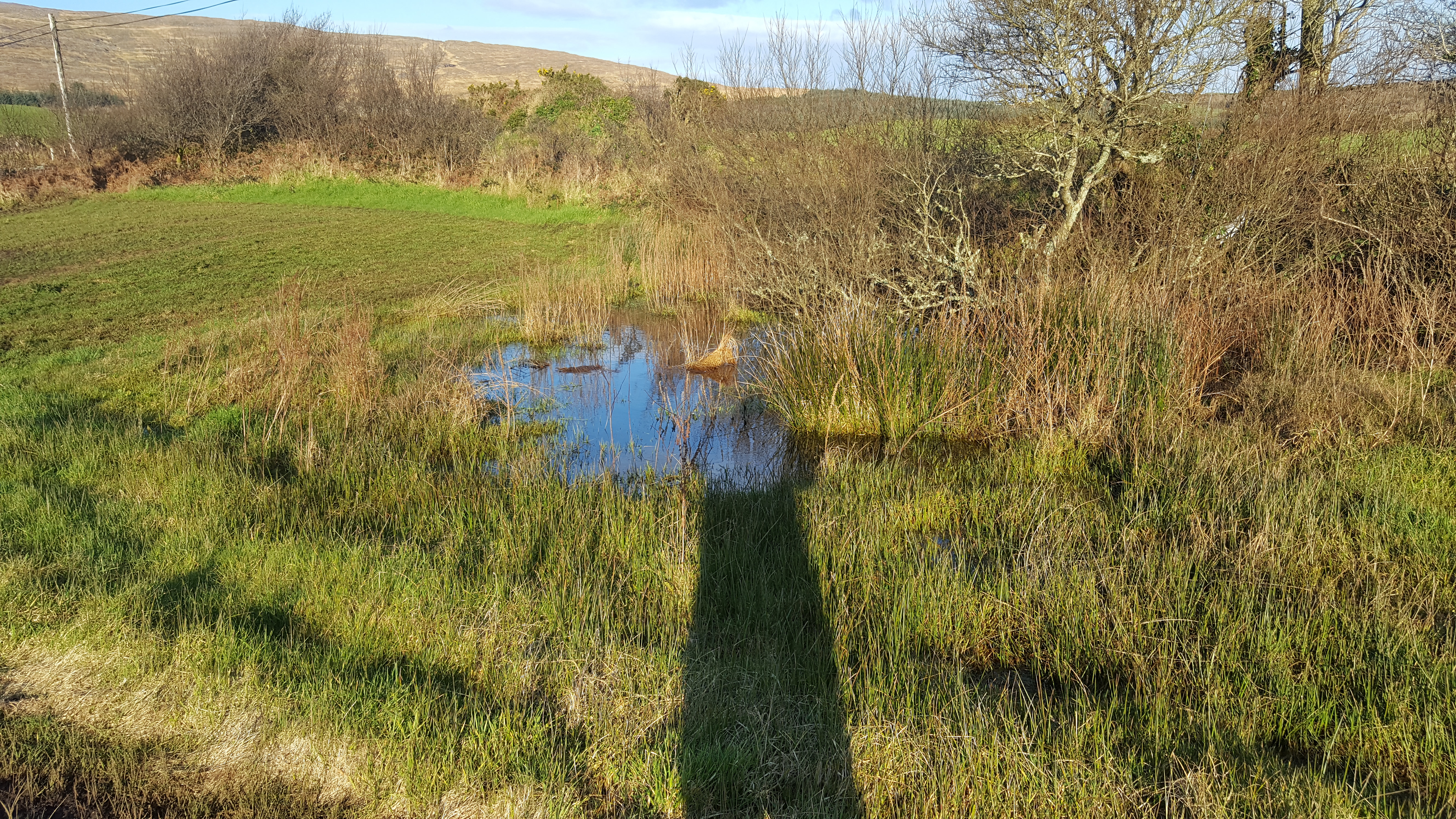 Flax and Linen Development Dunmanway, Bantry, Flax Ponds Durrus ...